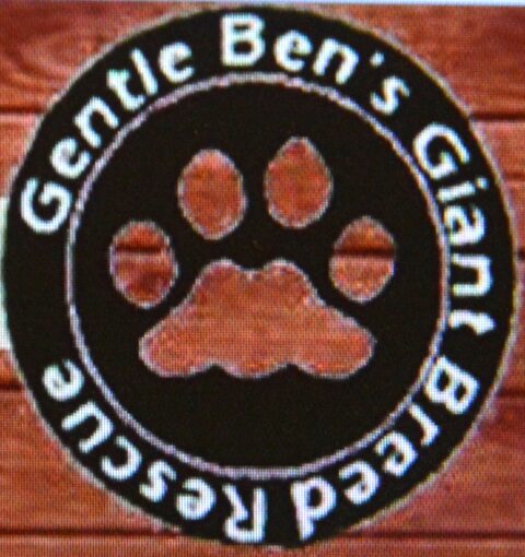Adoptable Dogs – Gentle Ben’s Giant Breed Rescue